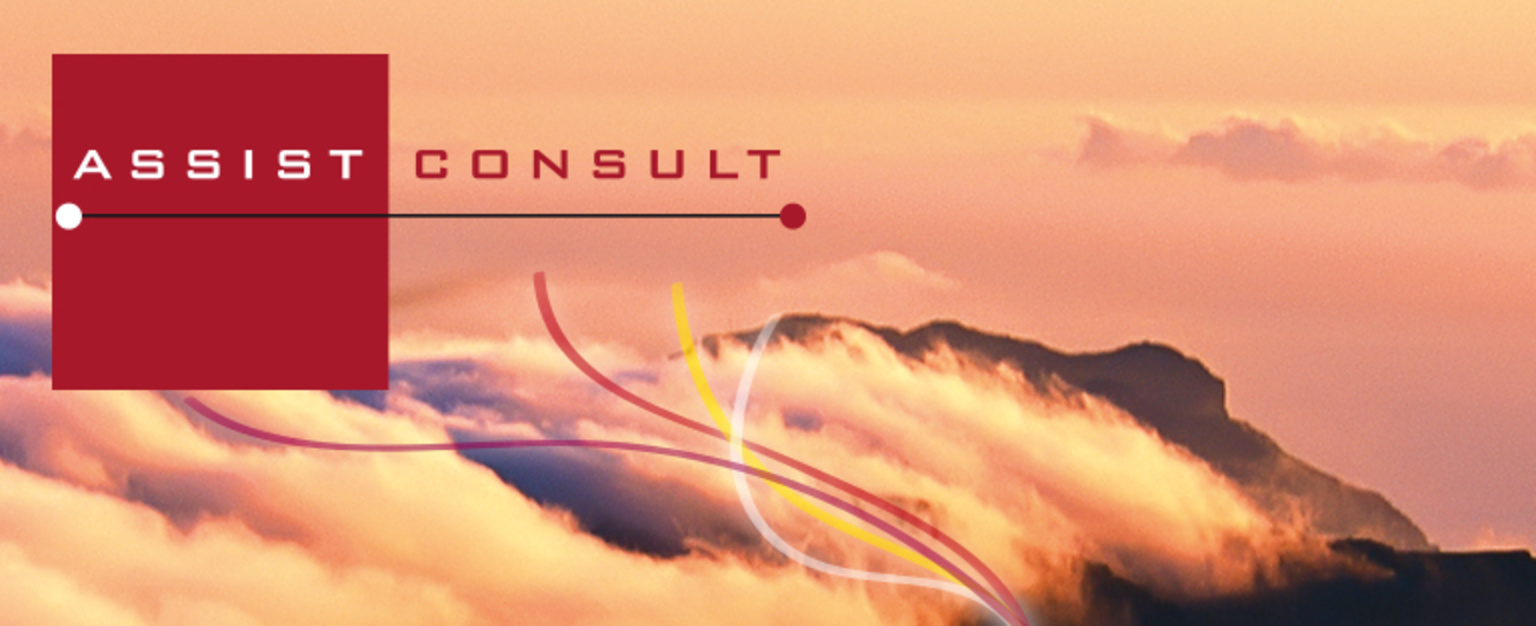 Für IT-Dienstleister | Assessment | Architektur | Assist Consult Management GmbH - Dortmund